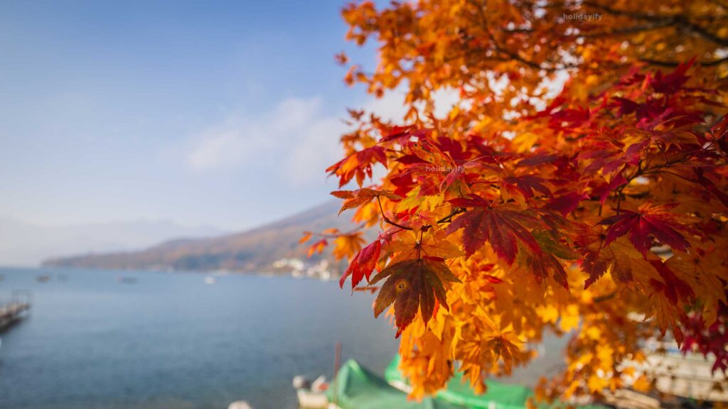 Autumn Holiday in Greece 2026: Best Things to Do in Fall - Holidayify.com